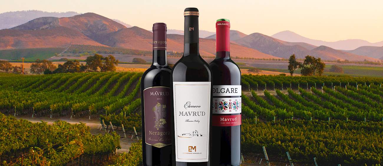 Mavrud | Local Wine Variety From Plovdiv Province, Bulgaria