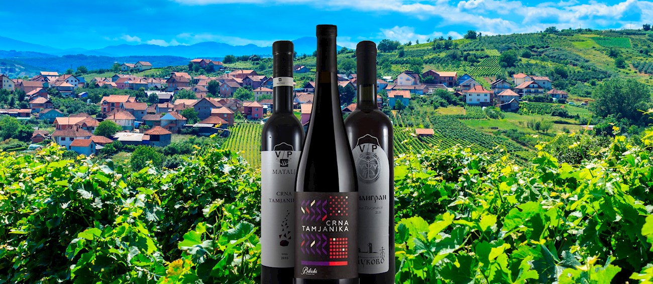 Crna Tamjanika | Local Wine Variety From Serbia, Southeastern Europe