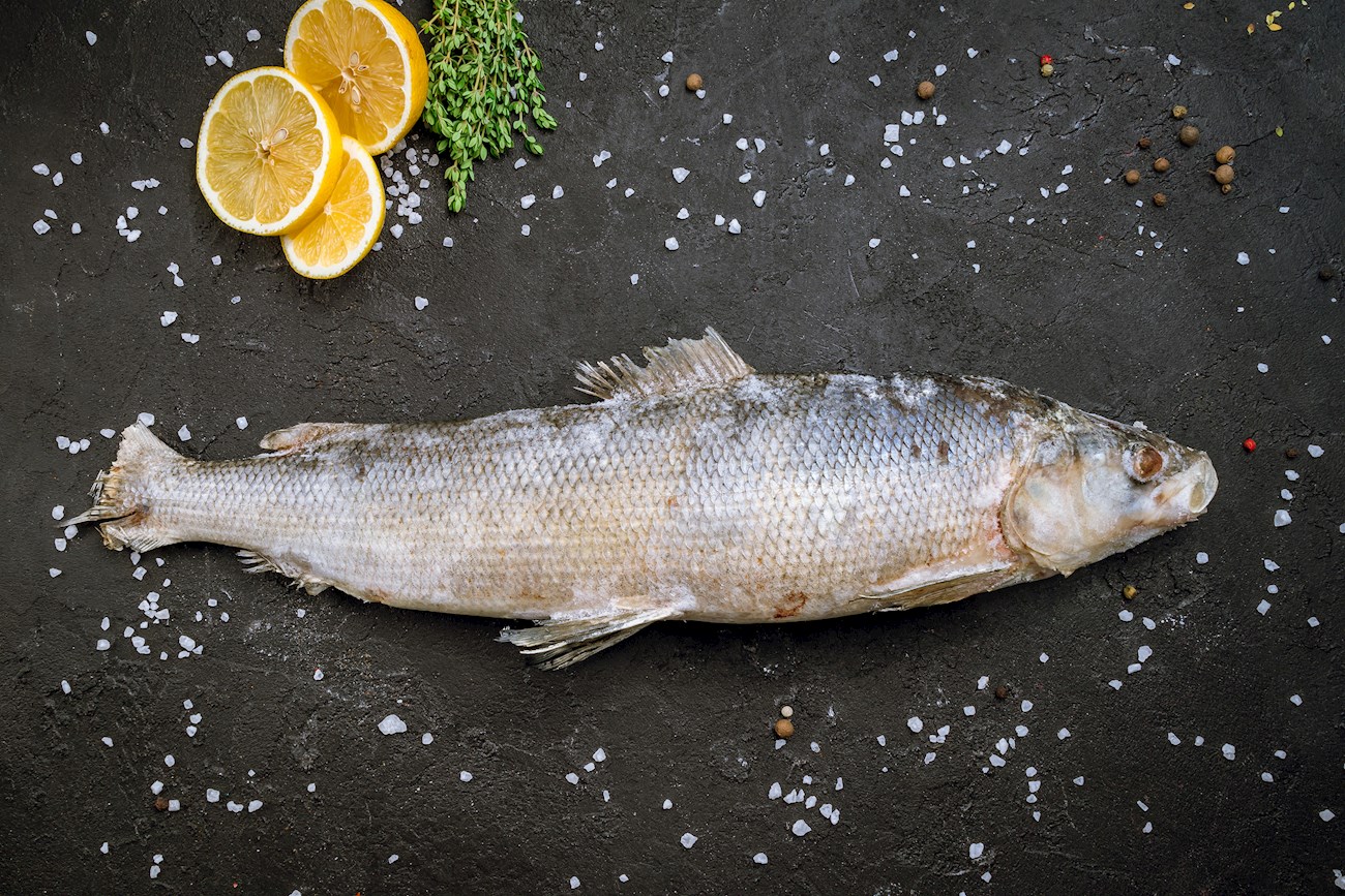 Muksun | Local Freshwater Fish From Siberian Region, Eastern Europe ...