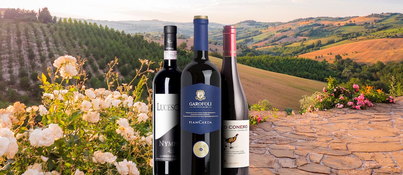 Cònero | Local Wine Appellation From Province of Ancona, Italy