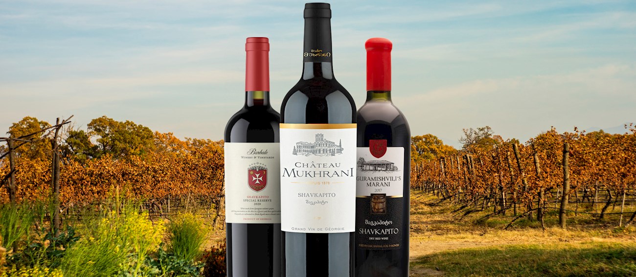 Shavkapito | Local Wine Variety From Georgia, Eastern Europe