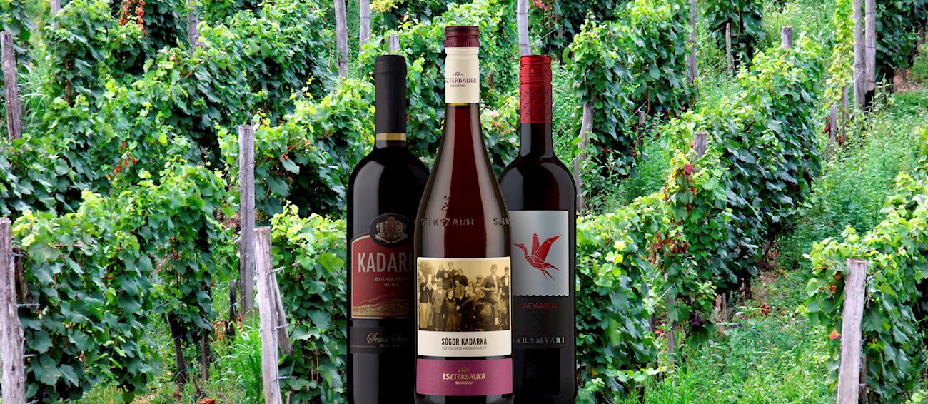 Kadarka | Local Wine Variety From Hungary, Central Europe | TasteAtlas