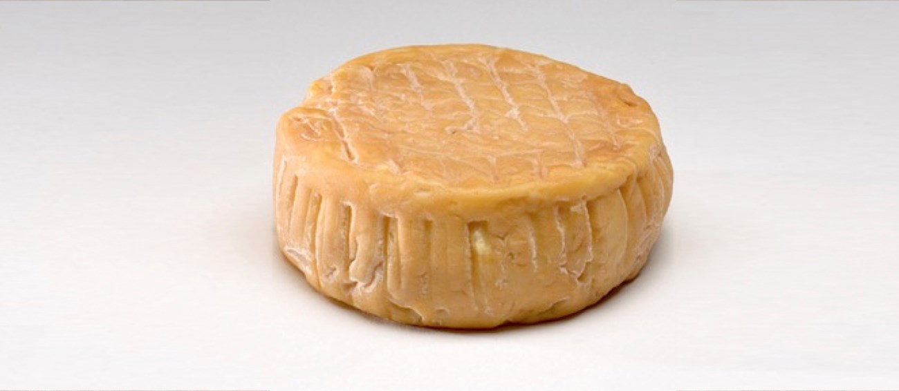Plaisir au Chablis | Local Cheese From Brochon, France