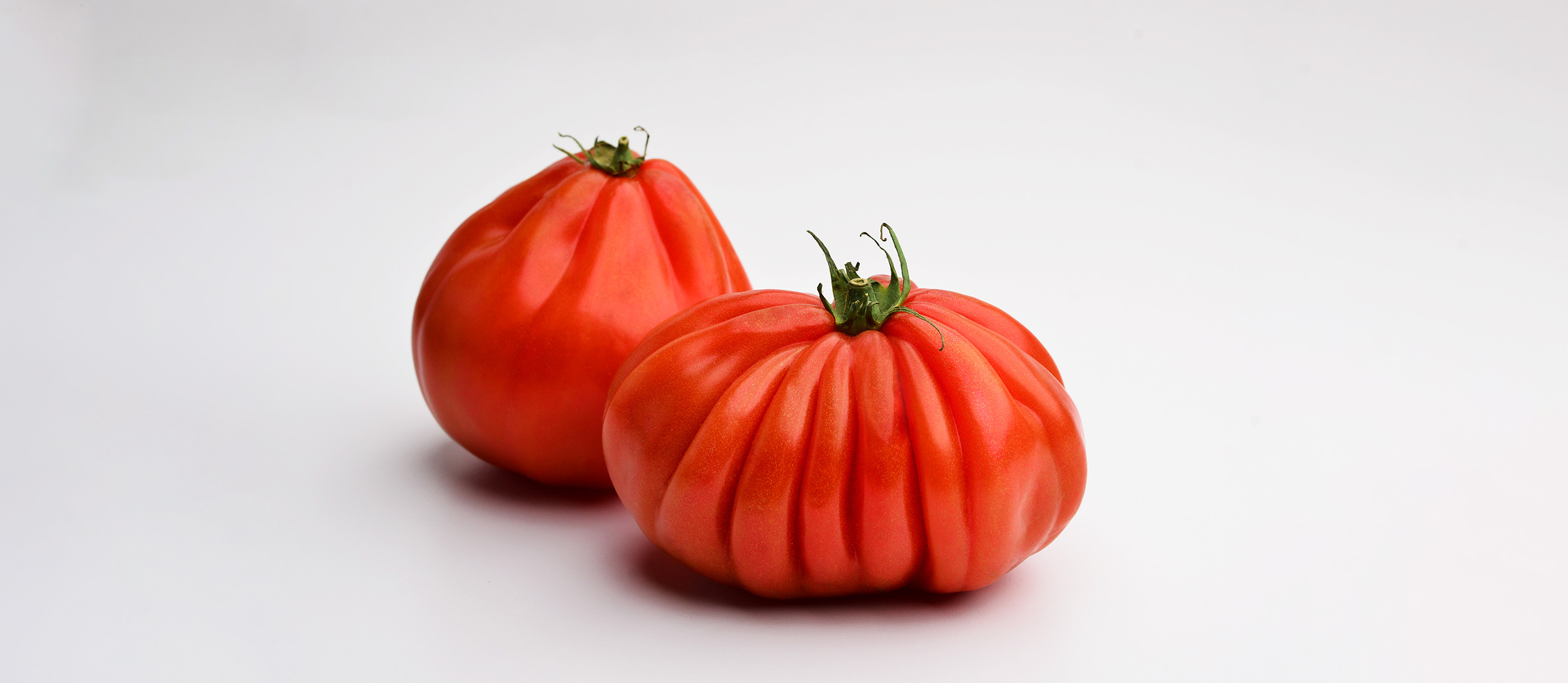 Italian Tomatoes Varieties
