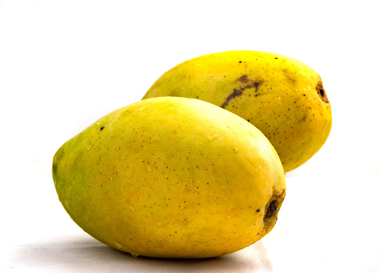 Hoa Loc Mango | Local Mango From Tiền Giang Province, Southeast Asia