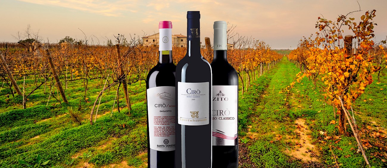 Cirò | Local Wine Appellation From Province of Crotone, Italy