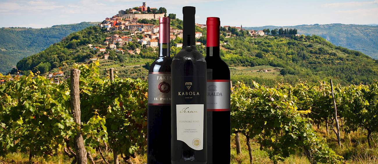 Teran | Local Wine Variety From Istria, Croatia
