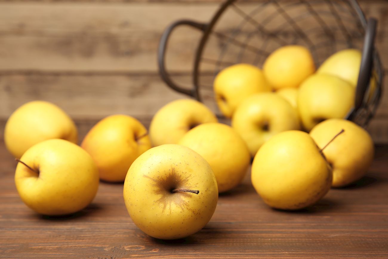 Golden Delicious Apples | Local Apple Variety From West Virginia ...