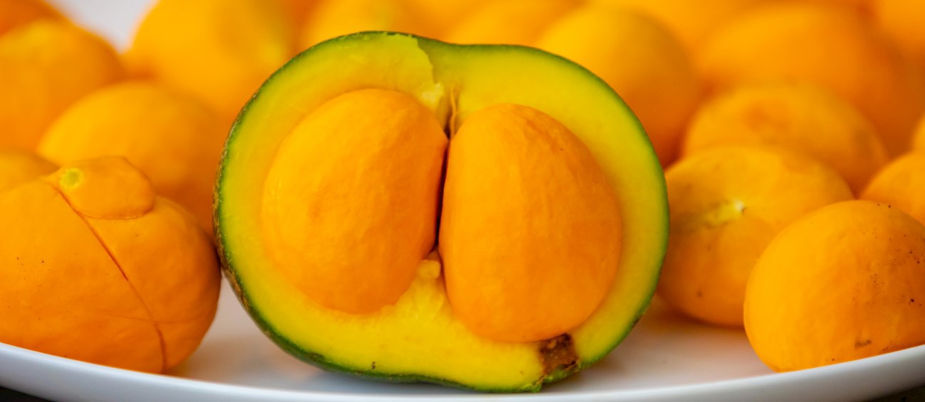 Pequi | Local Tropical Fruit From Central-West Region, Brazil