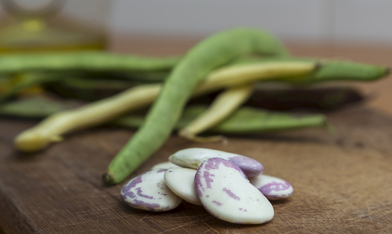 Garrofón | Local Lima Beans From Valencian Community, Spain