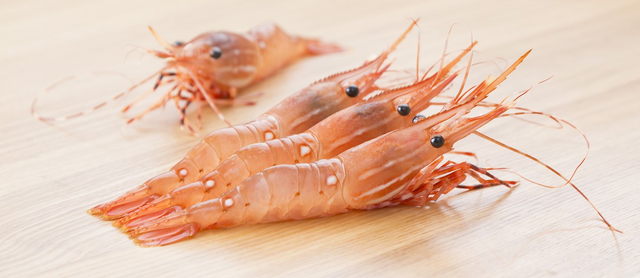 Spot Prawns | Local Prawns From British Columbia, Canada