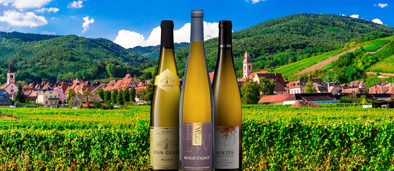 Muscat D'Alsace | Local Wine Appellation From Alsace, France