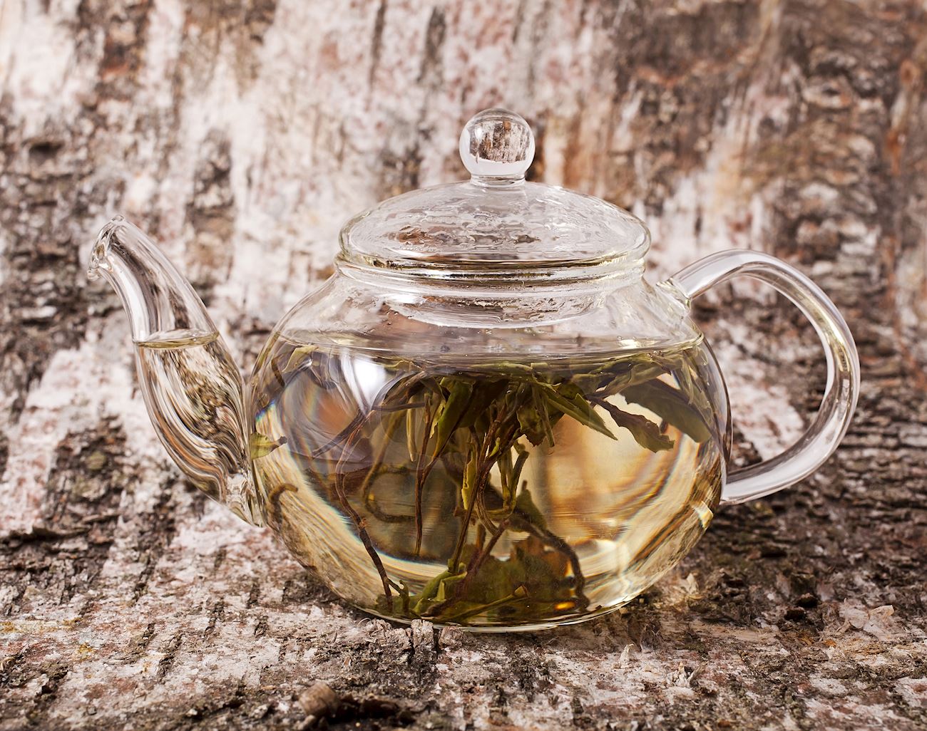 Bai Mudan | Local Tea From Fujian, China