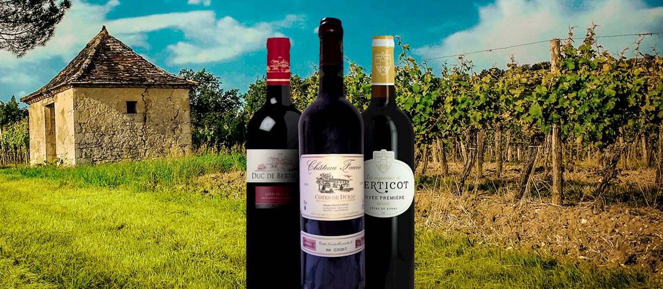 Côtes de Duras Rouge | Local Wine Appellation From Lot-et-Garonne, France