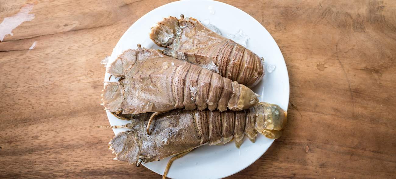 Moreton Bay Bug | Local Slipper Lobster From Brisbane, Australia