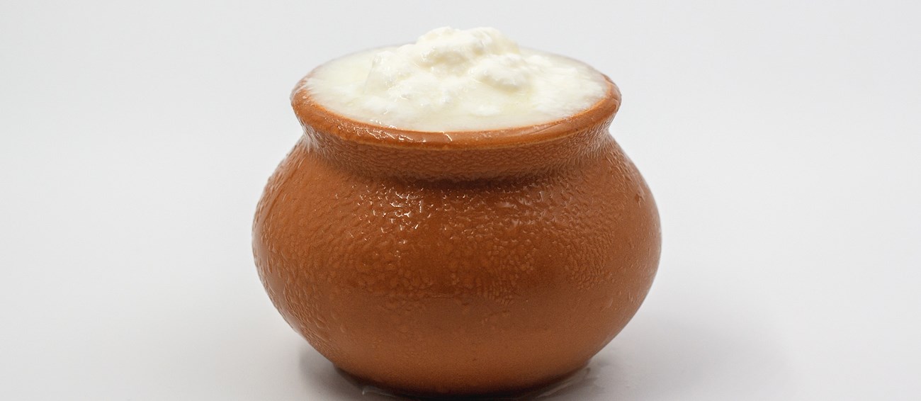Dahi | Local Dairy Product From India