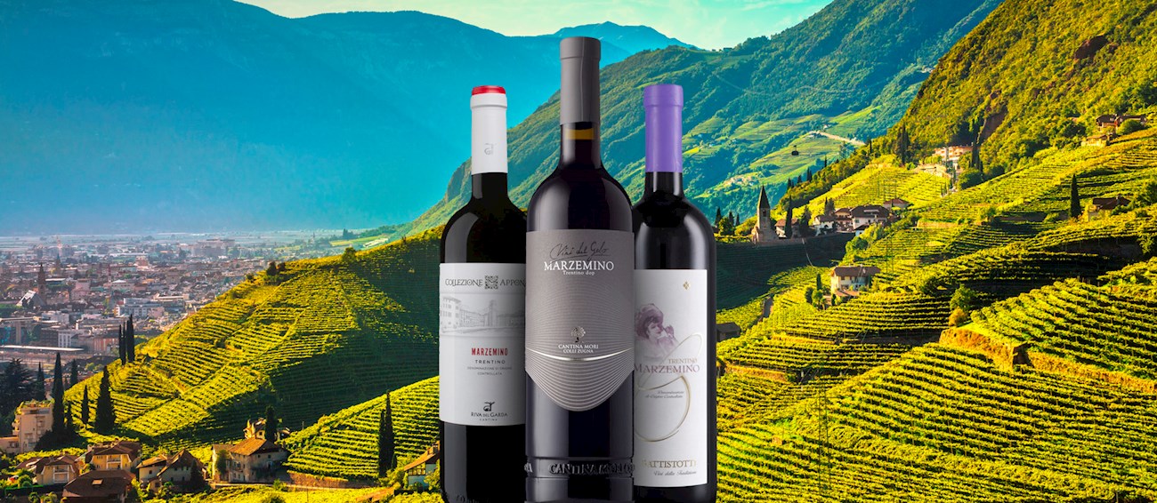Marzemino | Local Wine Variety From Trentino, Italy