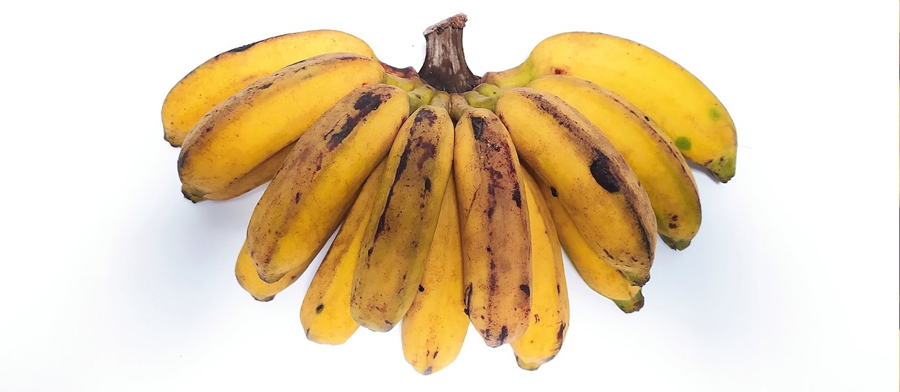 Latundan Banana | Local Banana From Philippines, Southeast Asia