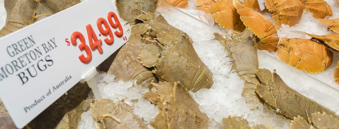 Moreton Bay Bug | Local Slipper Lobster From Brisbane, Australia