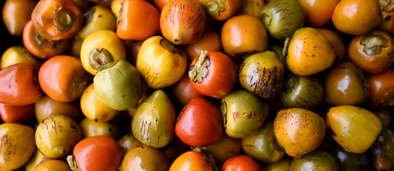 Pupunha | Local Tropical Fruit From Brazil