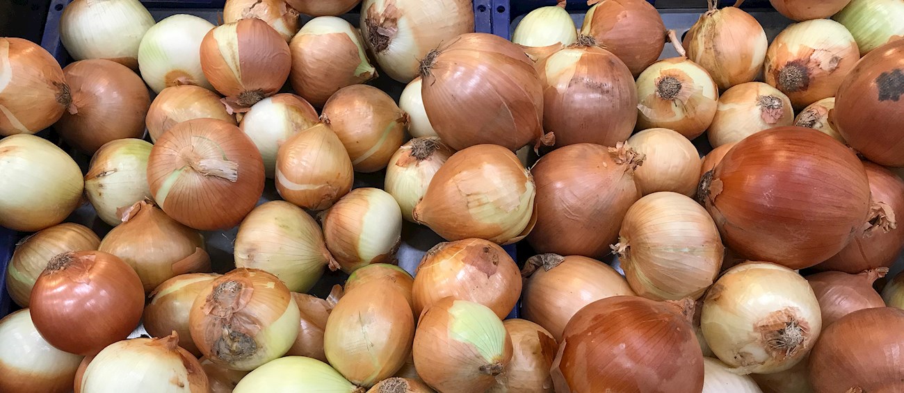 Maui Onion | Local Onion From Maui, United States of America
