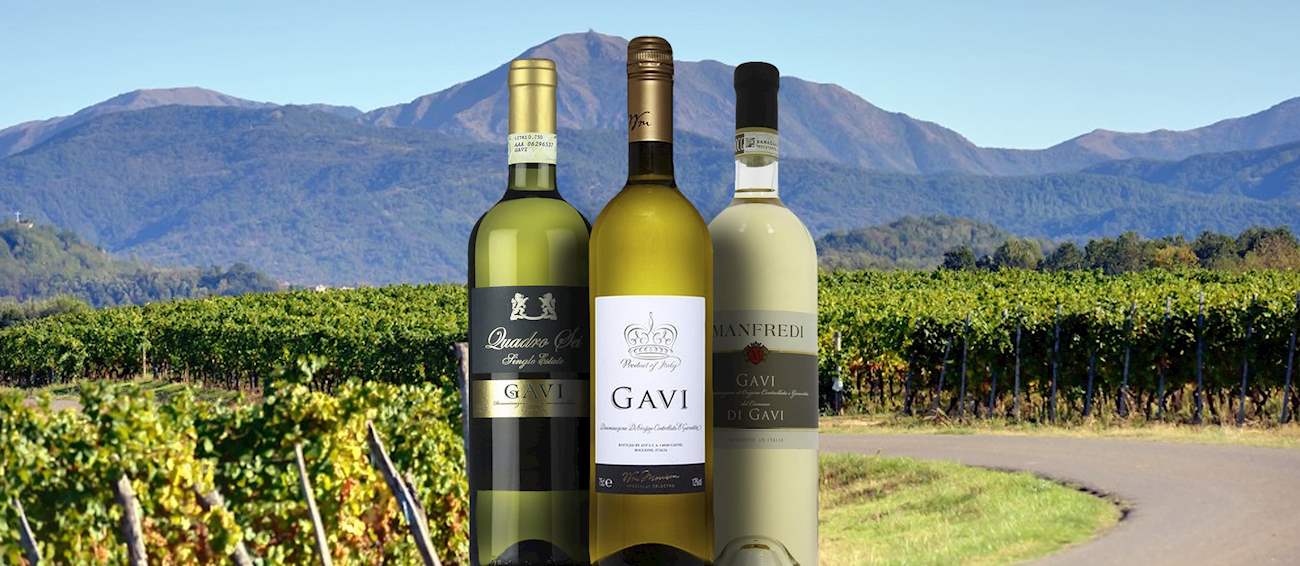 Gavi | Local Wine Appellation From Province of Alessandria, Italy