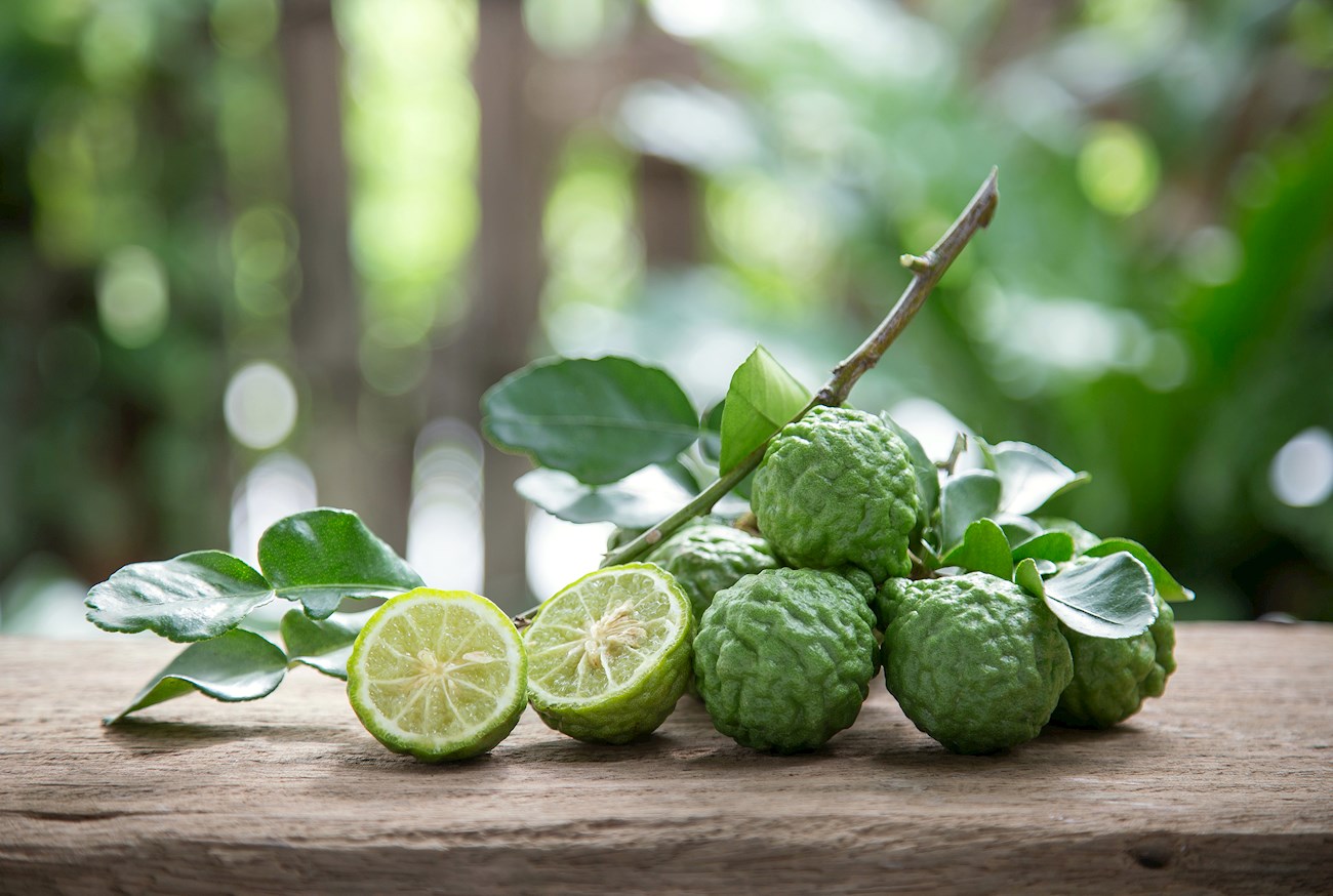 Makrut Lime | Local Lime From Southeast Asia