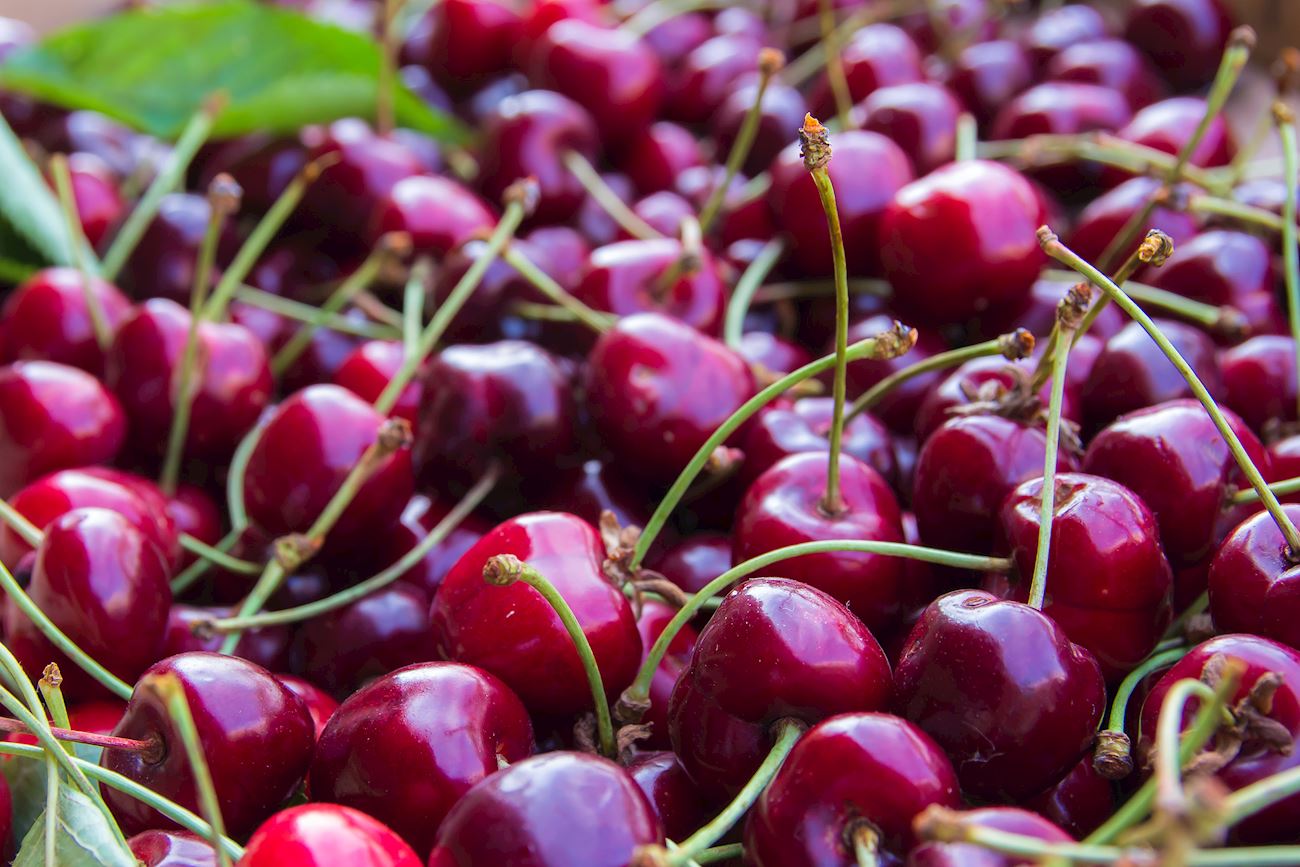 Leithaberger Edelkirsche | Local Cherries From Au am Leithaberge, Austria