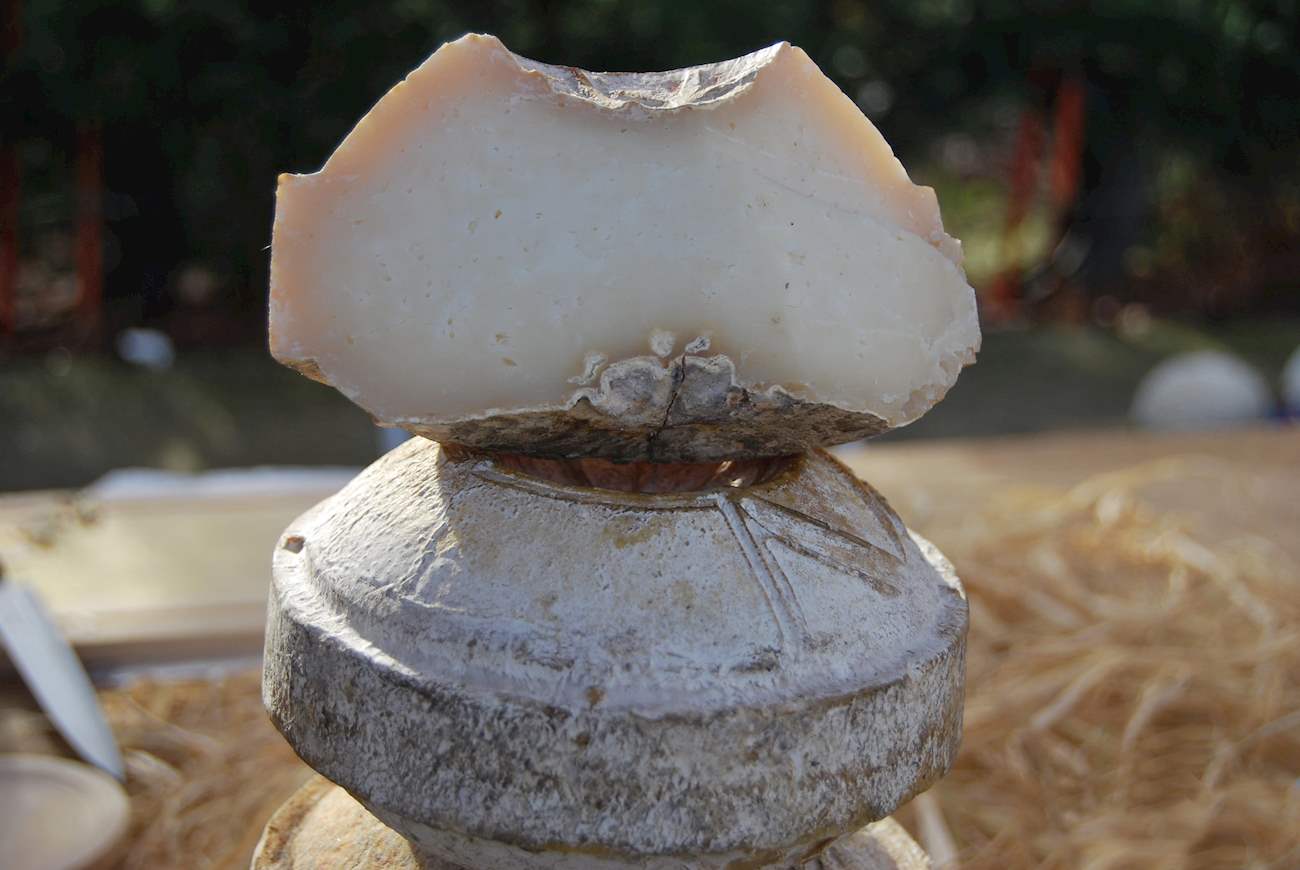 Tronchón | Local Cheese From Tronchón, Spain