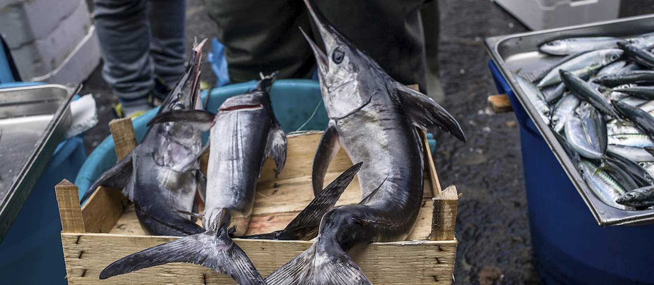 Xiphias | Local Swordfish From Greece, Southeastern Europe