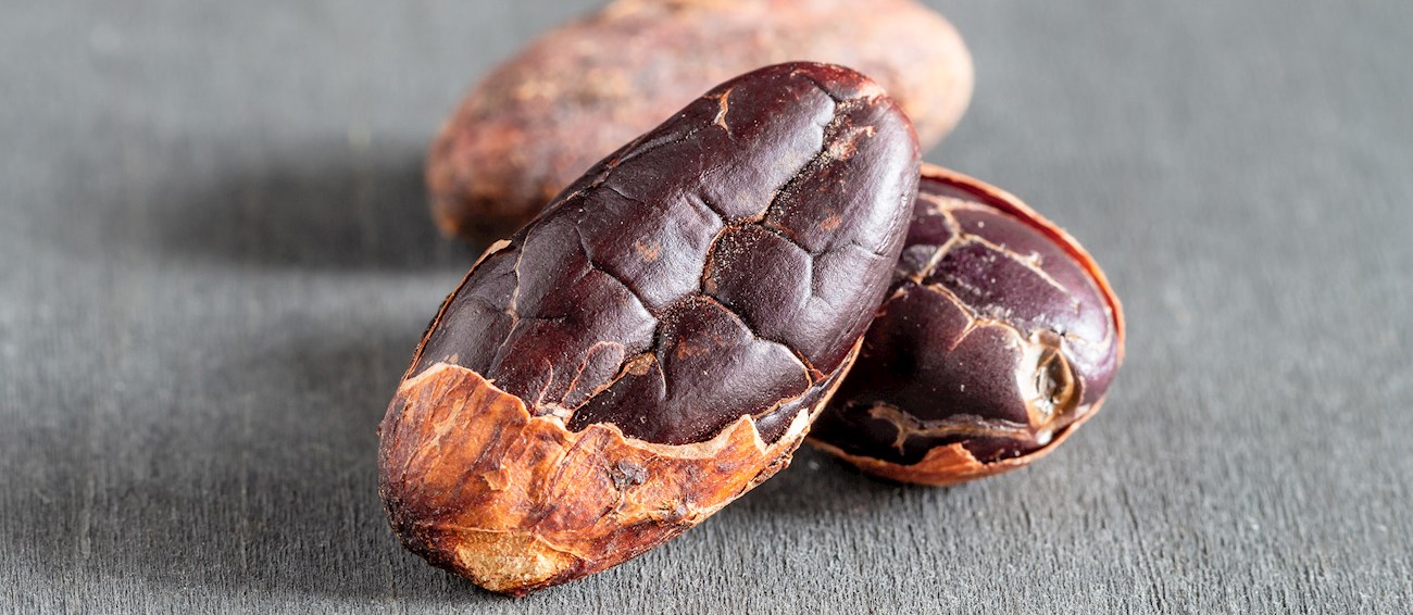 Forastero | Local Cocoa Beans From Brazil