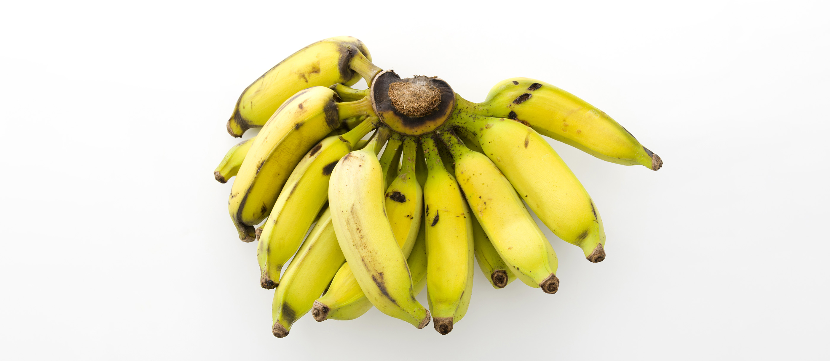 Manzano Banana