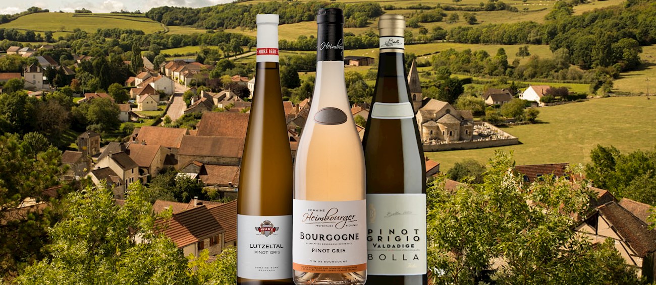 Pinot Gris | Local Wine Variety From Burgundy, France
