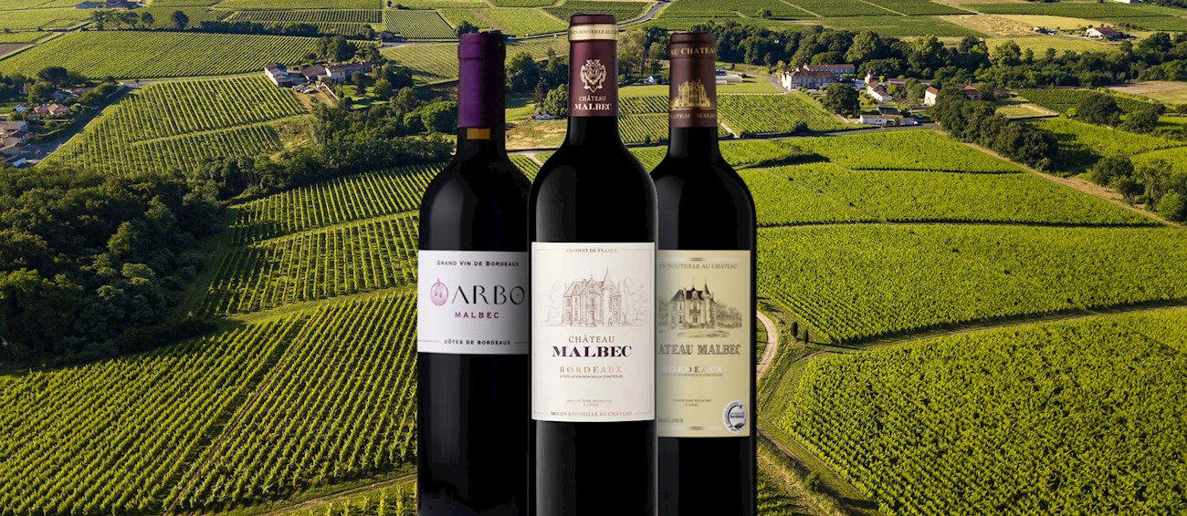 Malbec | Local Wine Variety From Bordeaux, France