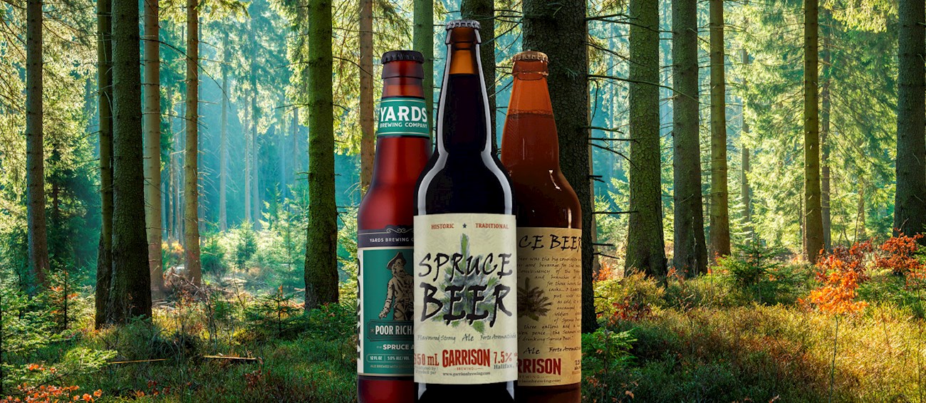 Spruce Beer | Local Non-alcoholic Beverage From United States of America