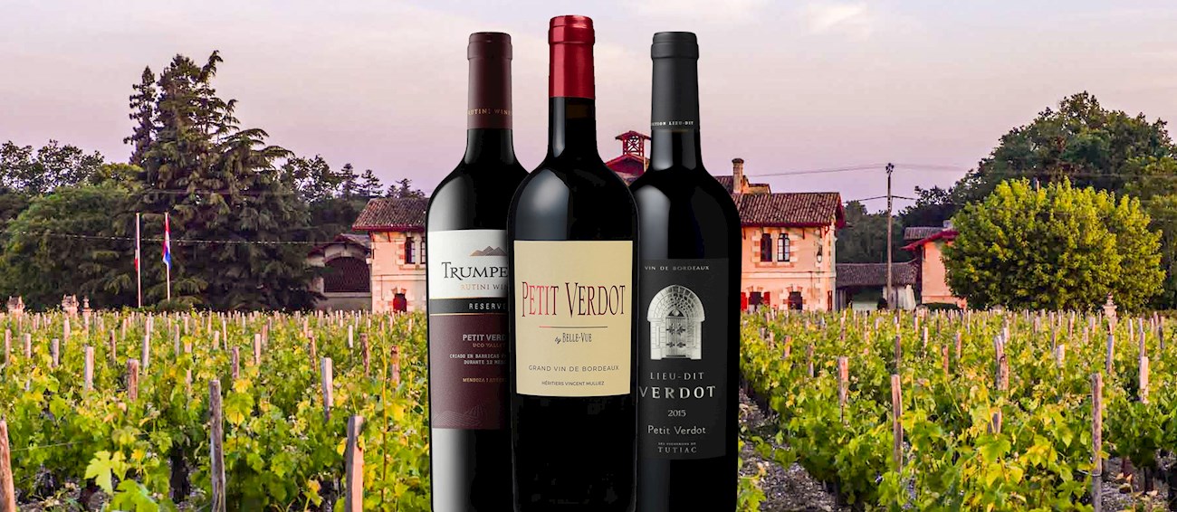 Petit Verdot | Local Wine Variety From Bordeaux, France