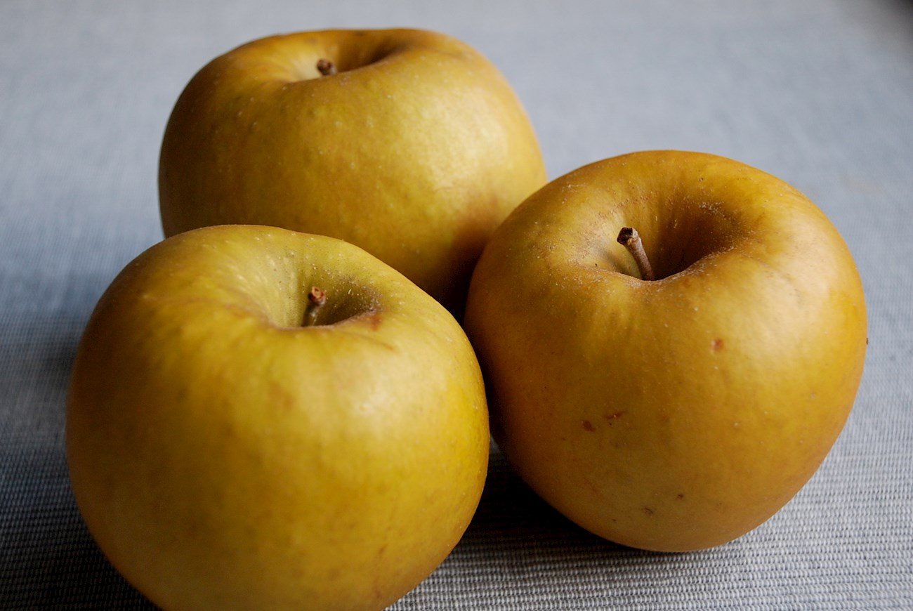 Razor Russet Apples | Local Apple Variety From Wallingford, United ...
