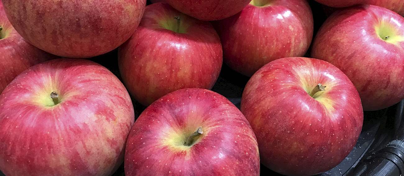 Fuji Apples | Local Apple Variety From Aomori Prefecture, Japan