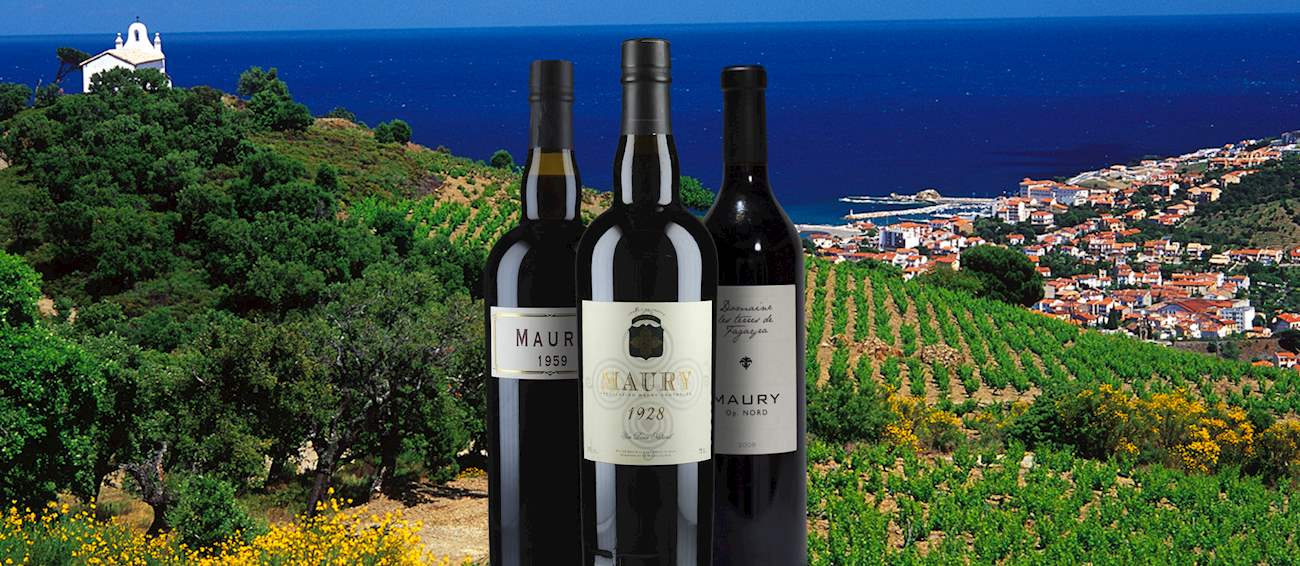 Maury | Local Fortified Wine From Pyrénées-Orientales, France
