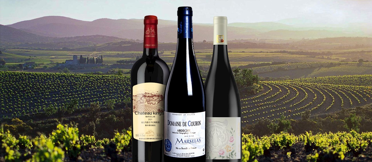 Marselan | Local Wine Variety From Marseillan, France