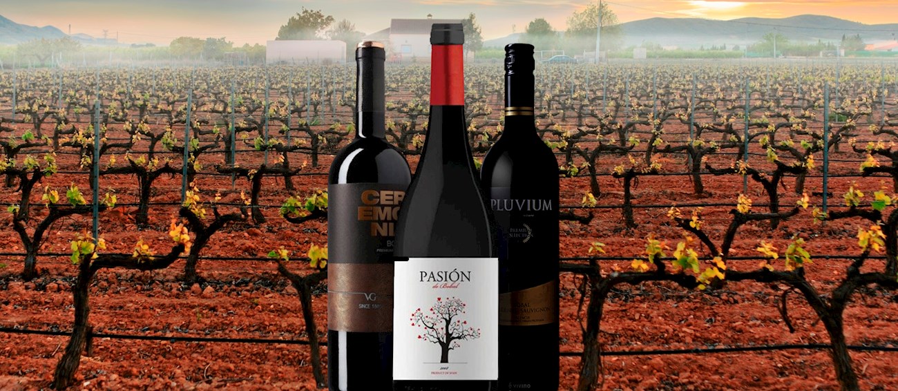 Bobal | Local Wine Variety From Valencian Community, Spain