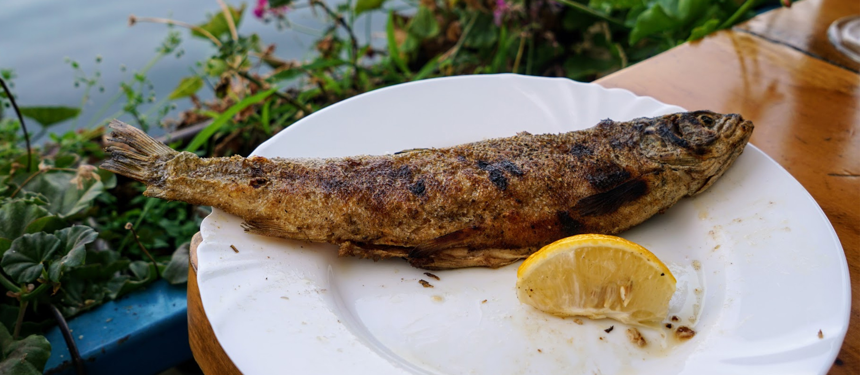 Macedonian Food Fish