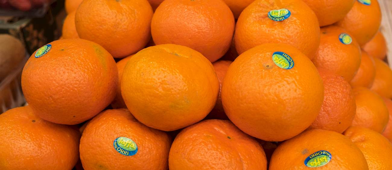 Jaffa Orange | Local Orange From Tel Aviv, Israel