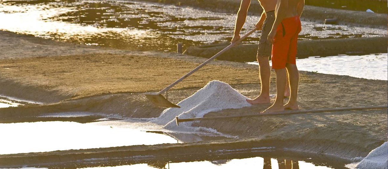 Sel de L'Ile de ré | Local Sea Salt From Île de Ré, France
