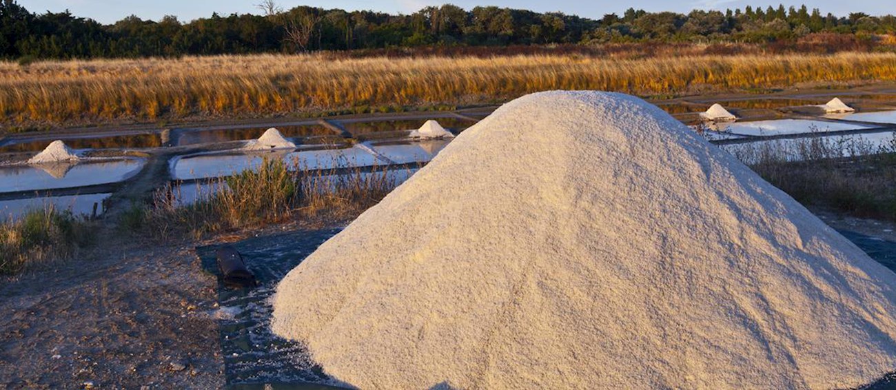 Sel de L'Ile de ré | Local Sea Salt From Île de Ré, France