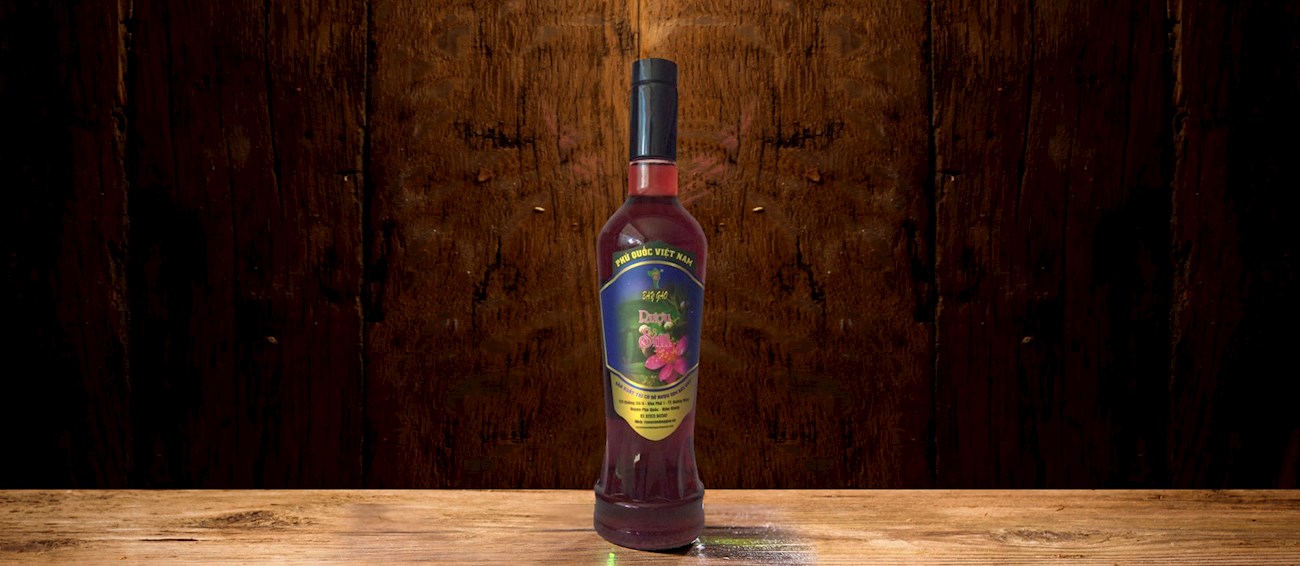 Rượu Sim | Local Berry Liqueur From Phu Quoc Island, Southeast Asia