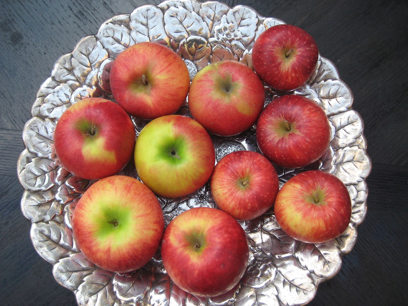 Fireside Apples | Local Apple Variety From Minnesota, United States of ...