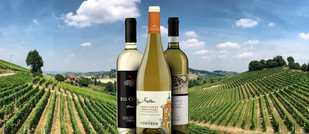 Cortese | Local Wine Variety From Piedmont, Italy