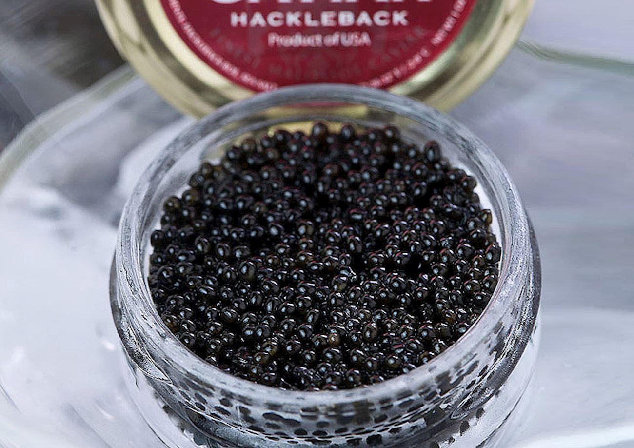 Hackleback Caviar | Local Caviar From United States of America