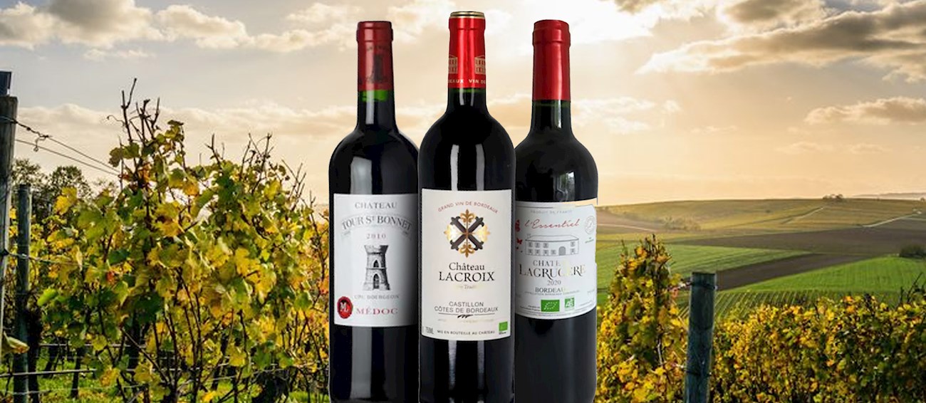 Cabernet Franc | Local Wine Variety From Bordeaux, France